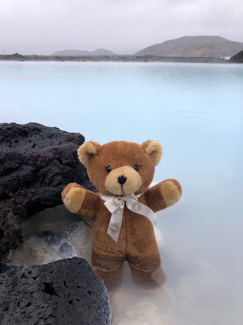 De eerste foto’s van Good Bear op reis – Good Bears of the World